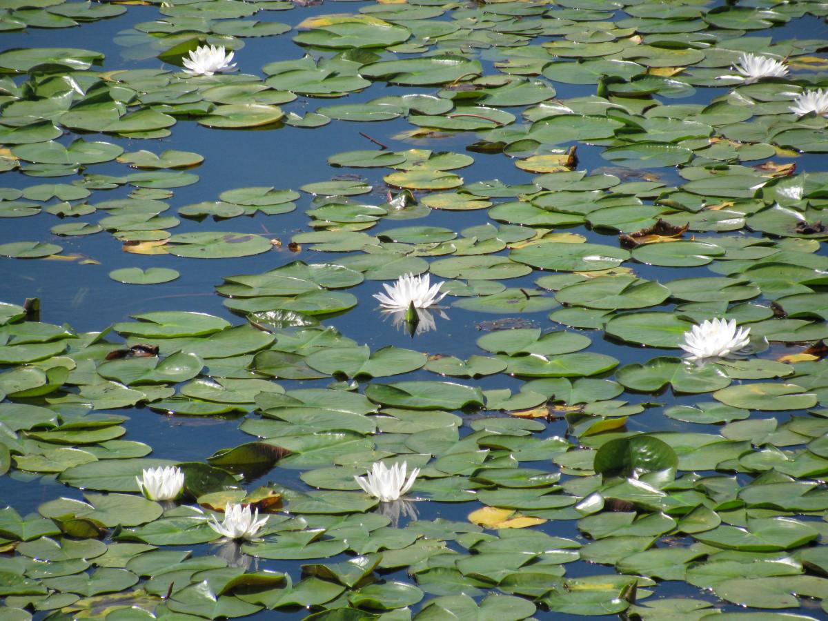 People – The Culley Lab